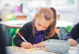 Welcome to The Rushmere Park Academy